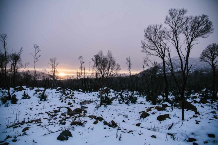 Where to See Snow in Tasmania for 2026